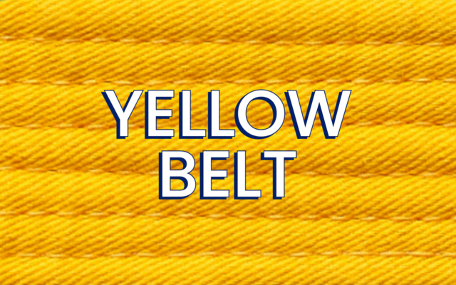 Online & On-site LSS Belt courses for the regulated environment